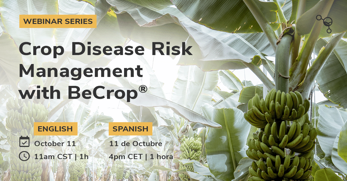 Webinar Series: Crop Disease Risk Management with BeCrop®